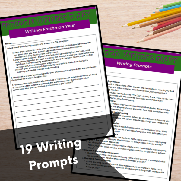A Complete Guide to Teaching Freedom Writers Diary - English with Steil